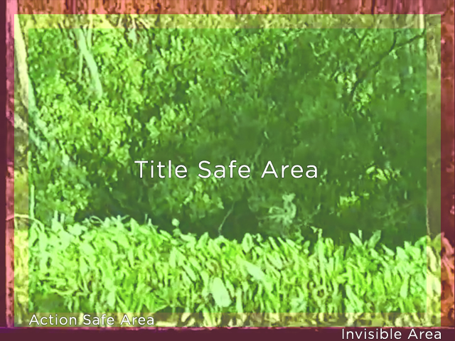 What are the weird lines at the bottom of my tape? – Legacybox